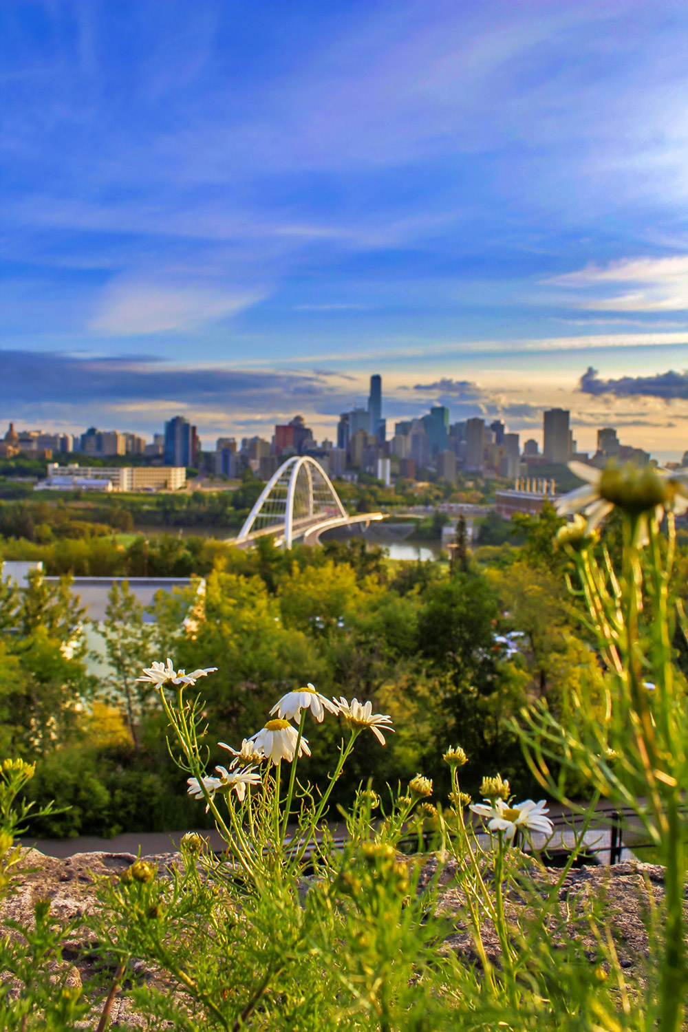 Fun Speed Dating Edmonton Events - Themed Singles Events